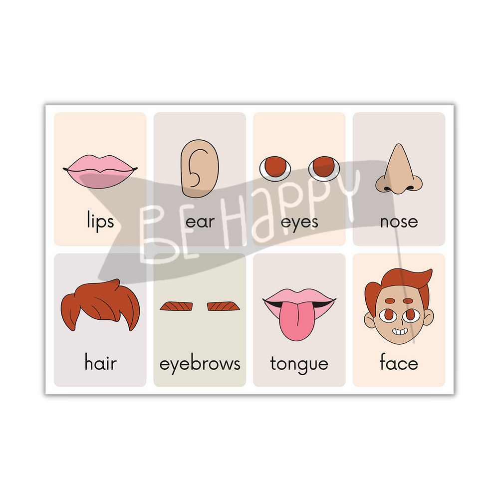 Face Part Cards - Be Happy Resources